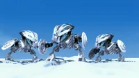 Kohrak | BIONICLE Wiki | Fandom