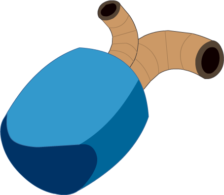 Air Bladder | The BIONICLE Wiki | Fandom