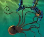 Giant Squid | The BIONICLE Wiki | Fandom