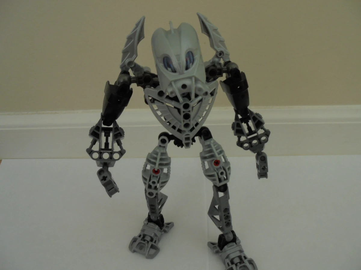 Shard | BIONICLE-Next Chapter Roleplay Wikia | Fandom