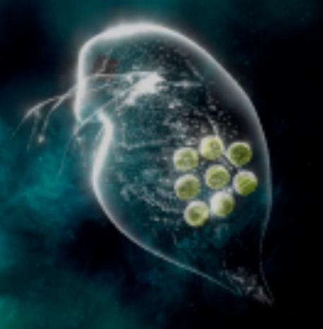 Algae | Bionix: Spore Evolution Sim 3D Wiki | Fandom