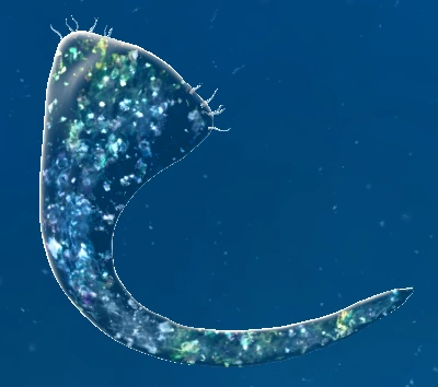 Creatures | Bionix Wiki | Fandom