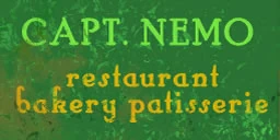 Capt. Nemo | BioShock Wiki | Fandom