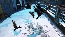 Murder Of Crows Bioshock Hand