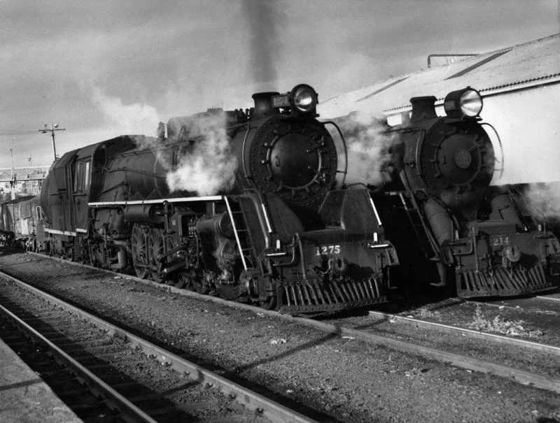 Auckland Rail Network | BIR Wiki | Fandom