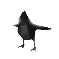 Raven | Birdkeepers! Wiki | Fandom