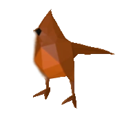 Beaver Bird | Birdkeepers! Wiki | Fandom