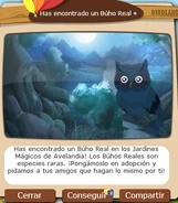 Búho | BirdLand Wiki | Fandom