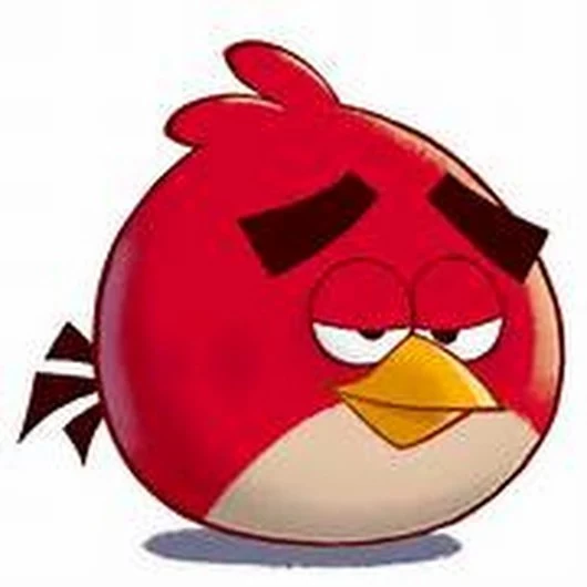 Red The Red Angry Bird | Birds Vs Pigs Wiki | Fandom