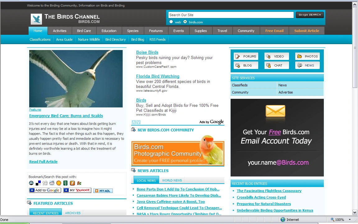 The Birds Channel | Birds Wiki | Fandom