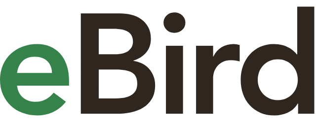 eBird | Birds Wiki | Fandom