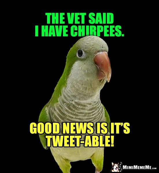 Bird Jokes | Birds Wiki | Fandom