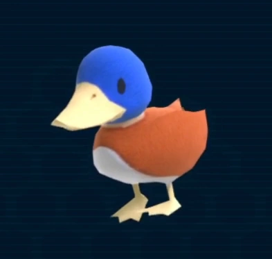 Anas - Official Happy Birthdays Wiki