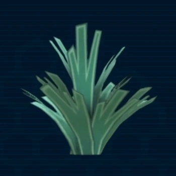 Asteroxylon - Official Happy Birthdays Wiki