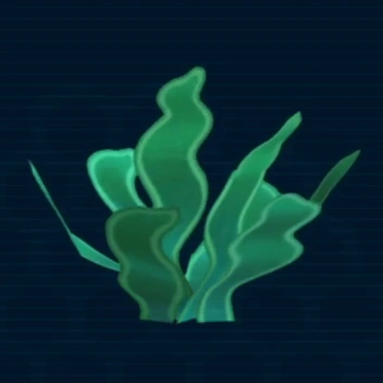 Undaria - Official Happy Birthdays Wiki