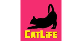 CatLife | BitLife - Life Simulator Wiki | Fandom