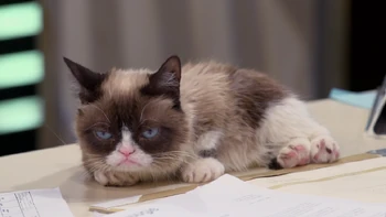 Minor Characters | Bizaardvark Wiki | Fandom