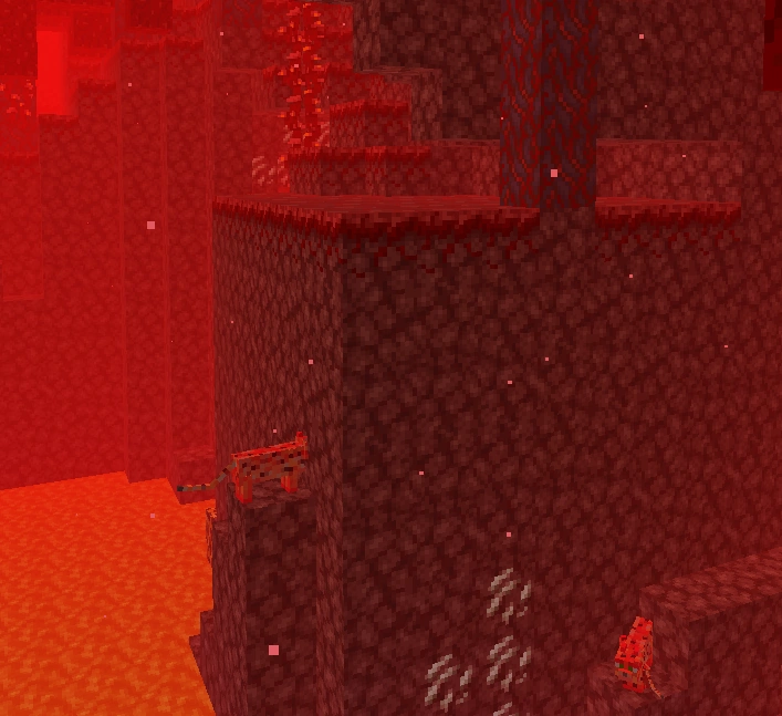 Litty | Bizzy's Tooltopia Wiki | Fandom