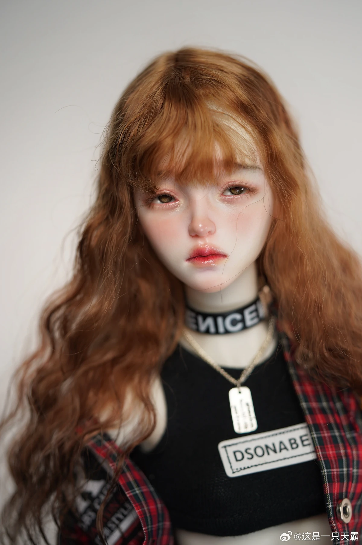 Large Polly (TianBa) | Ball-Jointed Doll Wiki | Fandom