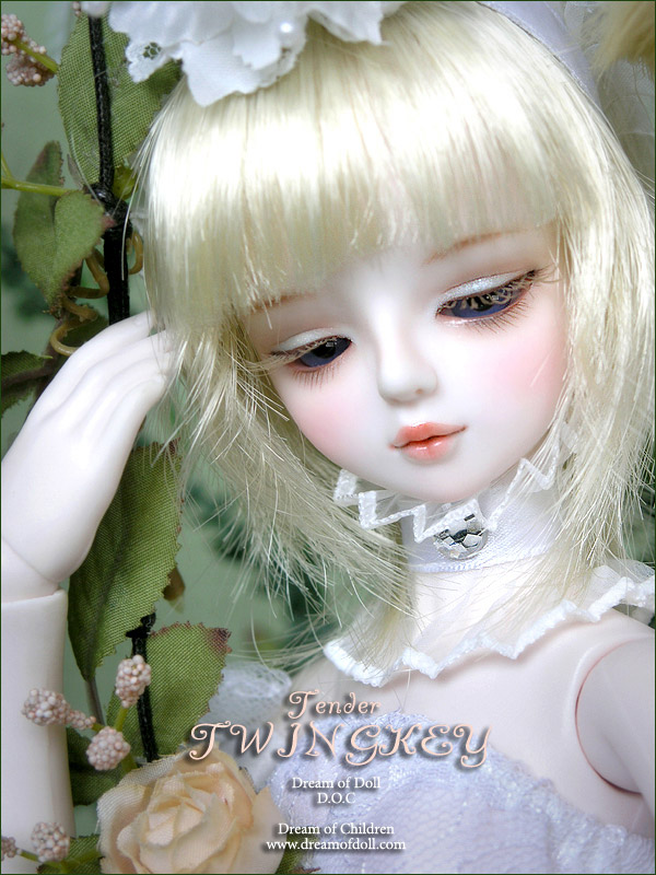 Dream of Child Twing-key Tender (Dream of Doll) | Ball-Jointed Doll ...