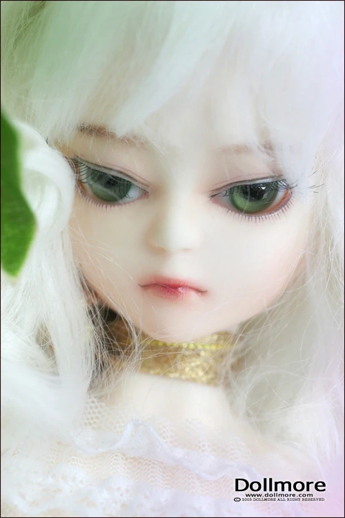Dollmore Catish | Ball-Jointed Doll Wiki | Fandom