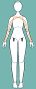 Doll Stringing | Ball-Jointed Doll Wiki | Fandom