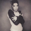 Discography | Björk Wiki | Fandom
