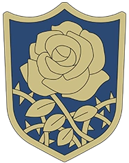 Blue Rose | Black Clover: Unlimited Wiki | Fandom