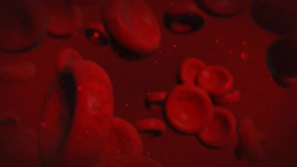 Blood Magic | Black Crown Series Wiki | Fandom