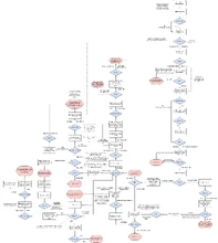 Bandersnatch | Black Mirror Wiki | Fandom