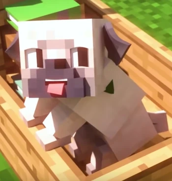 Pongo the Pug | Squared Media Wiki | Fandom