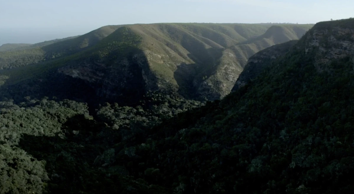 Skeleton Island | Black Sails Wiki | Fandom