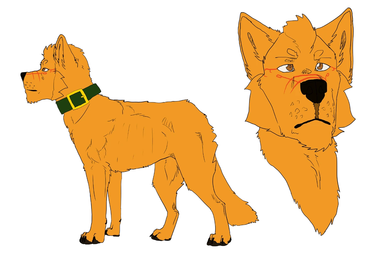 Kanora | Black Wolves Wiki | Fandom