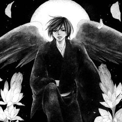 black bird manga plot