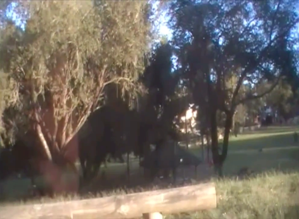 Grey Park | Blackbird Diaries Wiki | Fandom