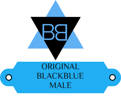 Original Blackblue (Boys) | Blackblue Wiki | Fandom