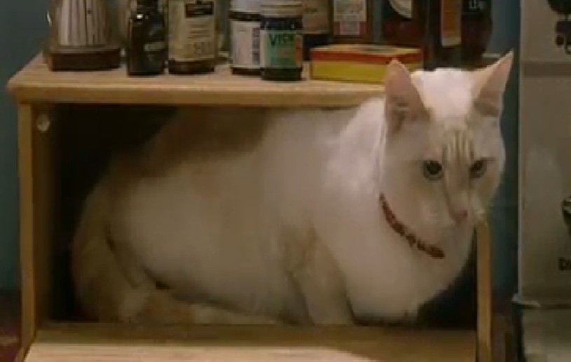 Mr. Benson | Black Books Wiki | Fandom