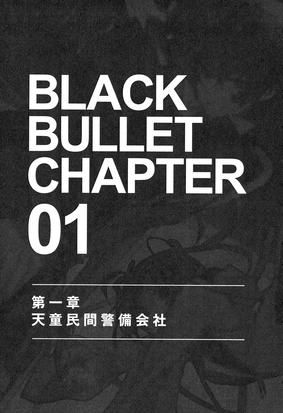 Chapter Covers Black Bullet Wiki Fandom