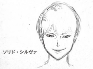 Solid Silva | Black Clover Wiki | Fandom