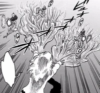 Snow Magic | Black Clover Wiki | Fandom