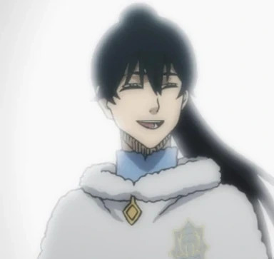 Paladin | Black Clover Wiki | Fandom