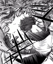 Asta/Biography | Black Clover Wiki | Fandom