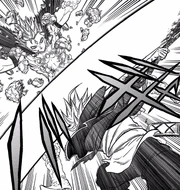 Asta/Biography | Black Clover Wiki | Fandom