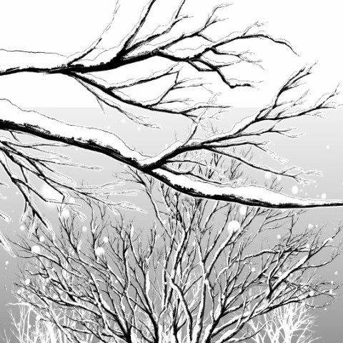 Freezing Magic | Black Clover Fanon Wiki | Fandom