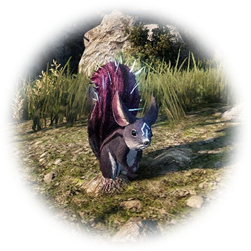 Squirrel | Black Desert Wiki | Fandom