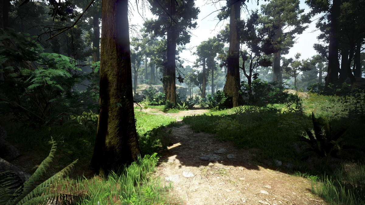 Caduil Forest Path | Black Desert Wiki | Fandom