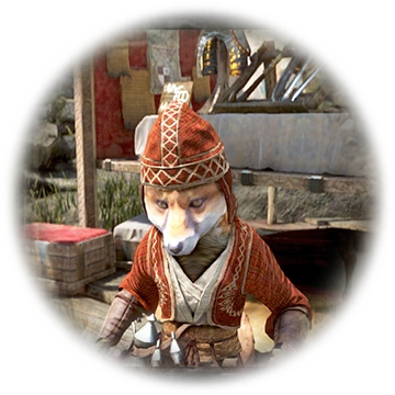 Bayarma | Black Desert Wiki | Fandom