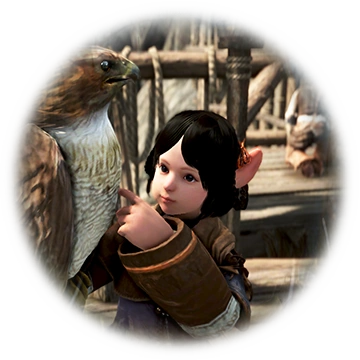 Roanin | Black Desert Wiki | Fandom