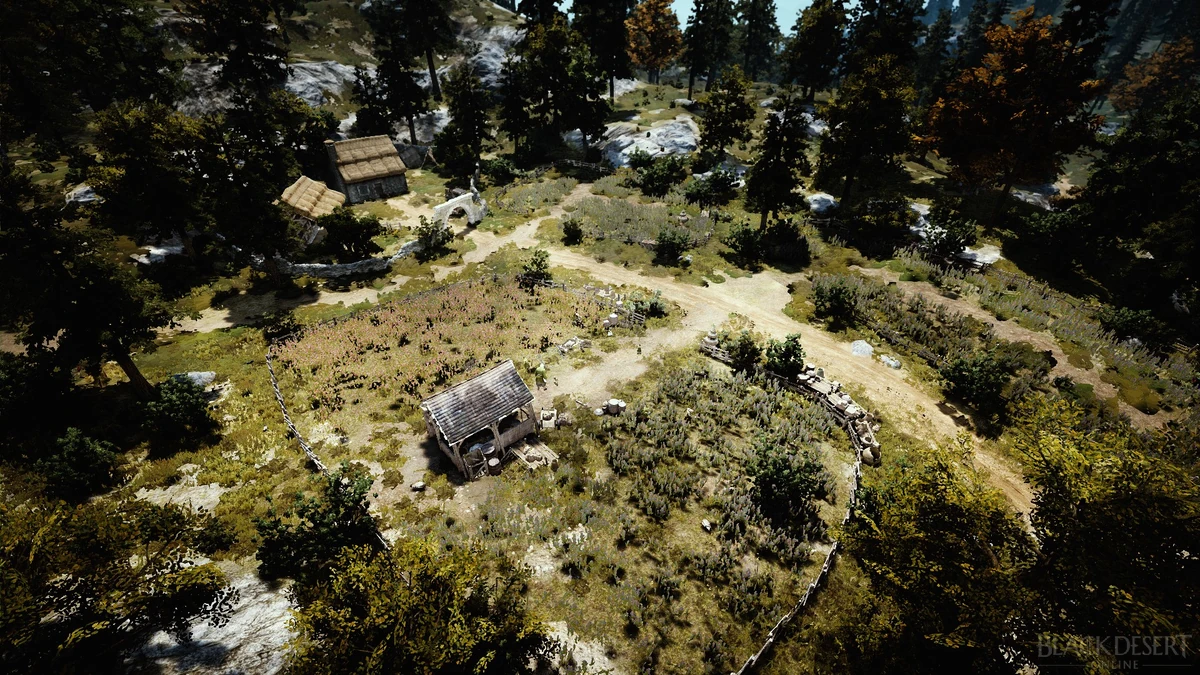 Gianin Farm | Black Desert Wiki | Fandom