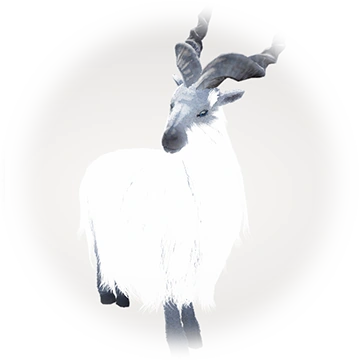 Snowfield Markhor | Black Desert Wiki | Fandom